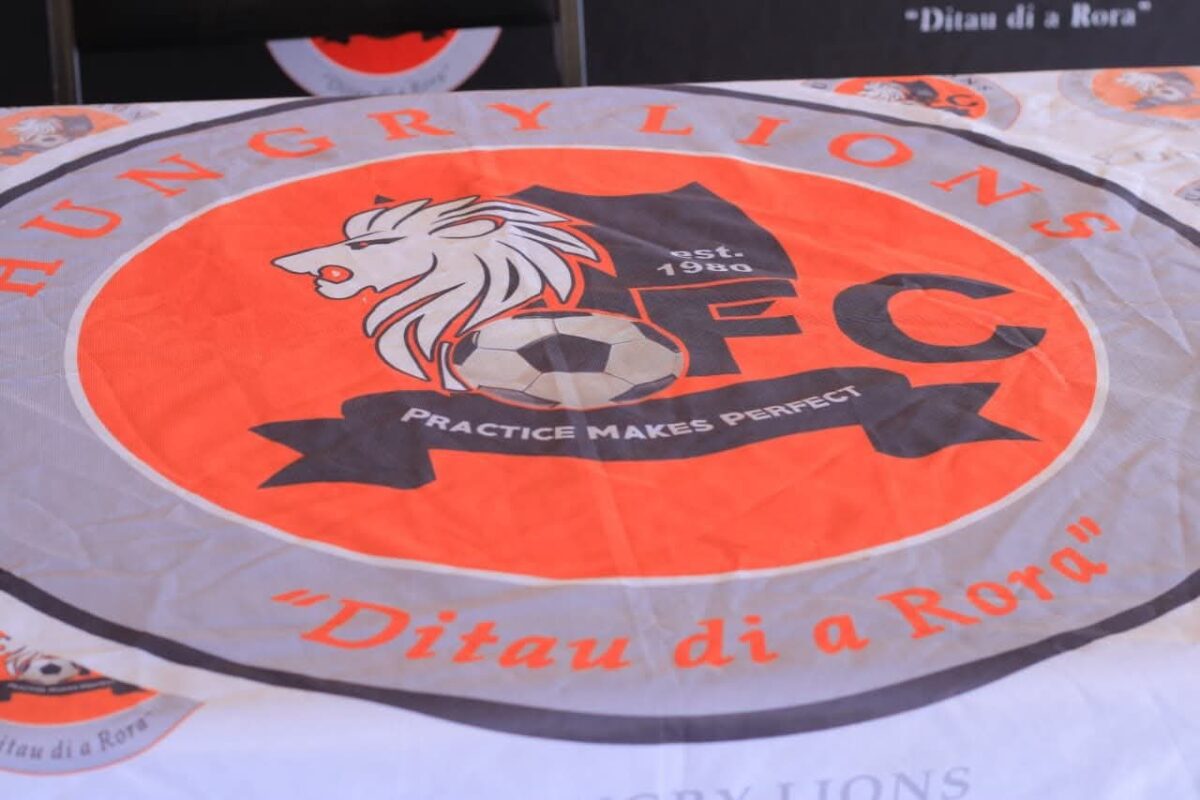 Hungry Lions coach reflects on 'interesting' NFD promotion race | FARPost