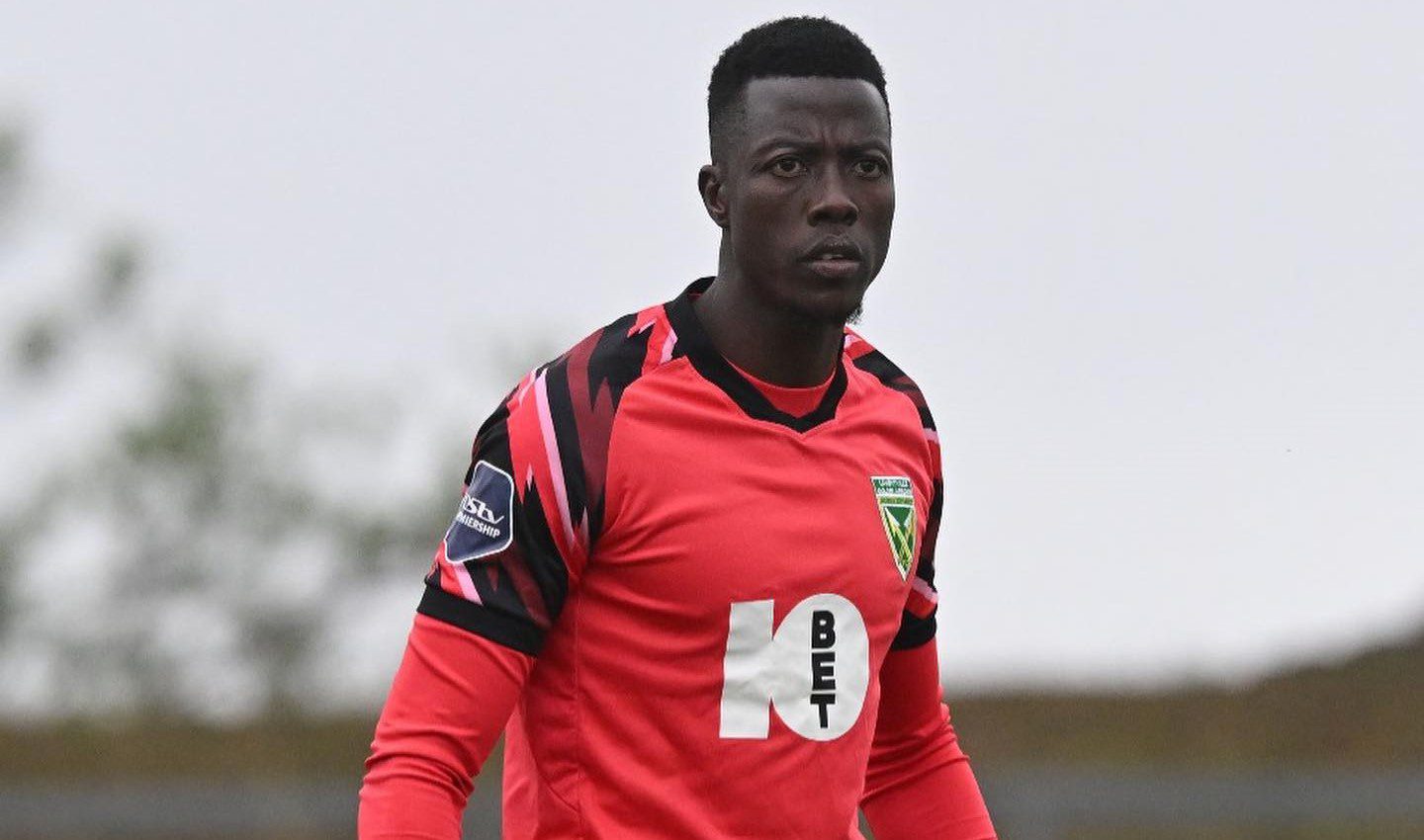 Golden Arrows submit formal proposal for Sundowns goalkeeper | FARPost